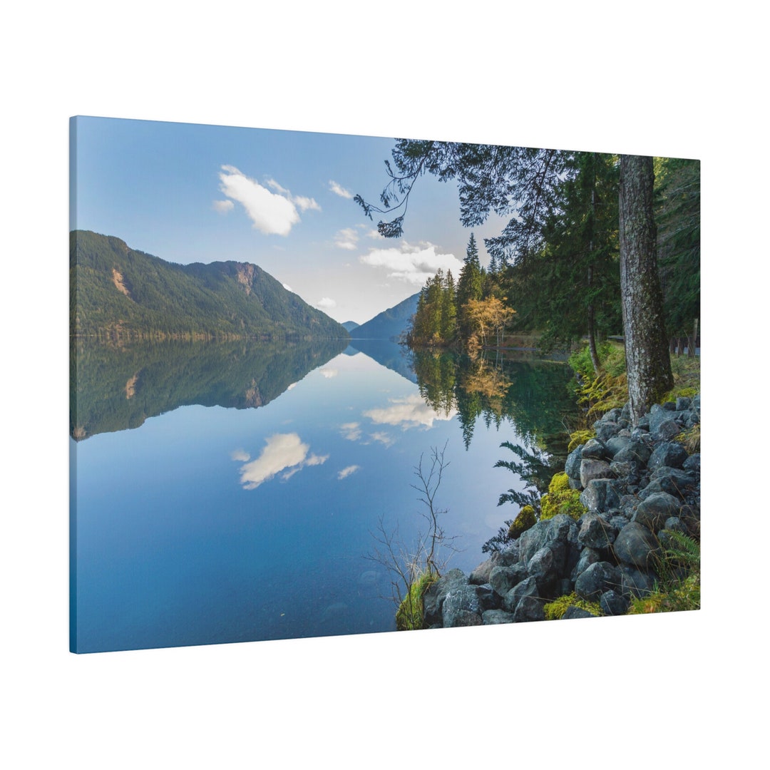 Tranquil Scene: Reflection of Nature's Beauty in a Forest Lake, Wall ...