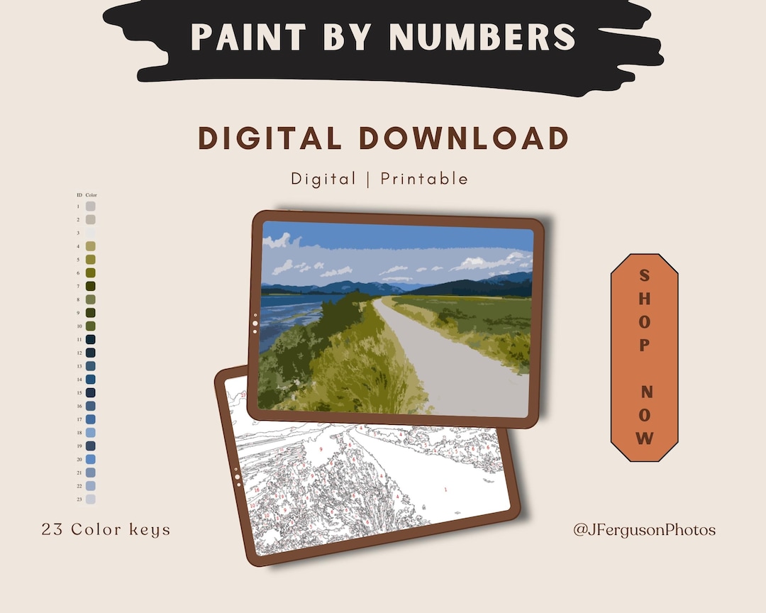 Paint by Numbers Digital Download Kit / Panoramic View of a - Etsy