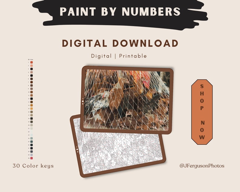 Captured Chickens up Close With Net, Animal, Poultry, Flock / Paint by ...