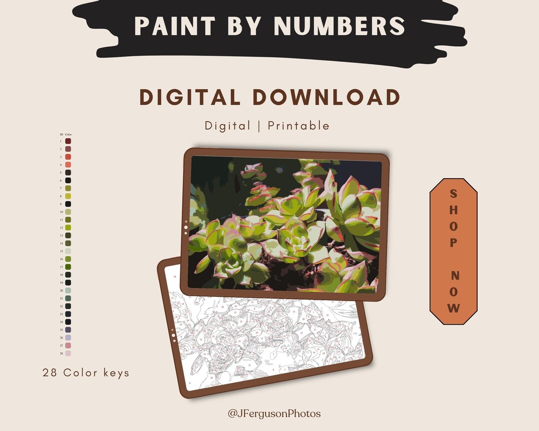 Paint by Numbers Digital Download Kit / Sunlit Haworth's - Etsy