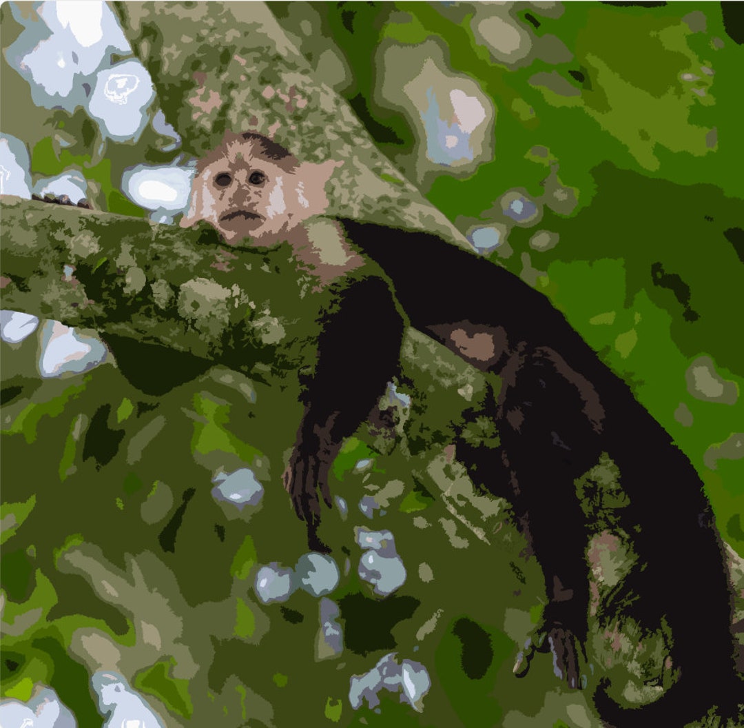 White-headed Capuchin Monkey Resting on Branch in Tropical Jungle ...