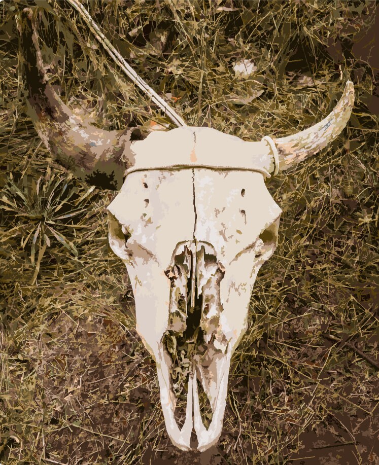 Wildlife Horns: Animal Skull of a Buffalo, Animal, Wildlife, Skeleton / Paint by Numbers Digital ...