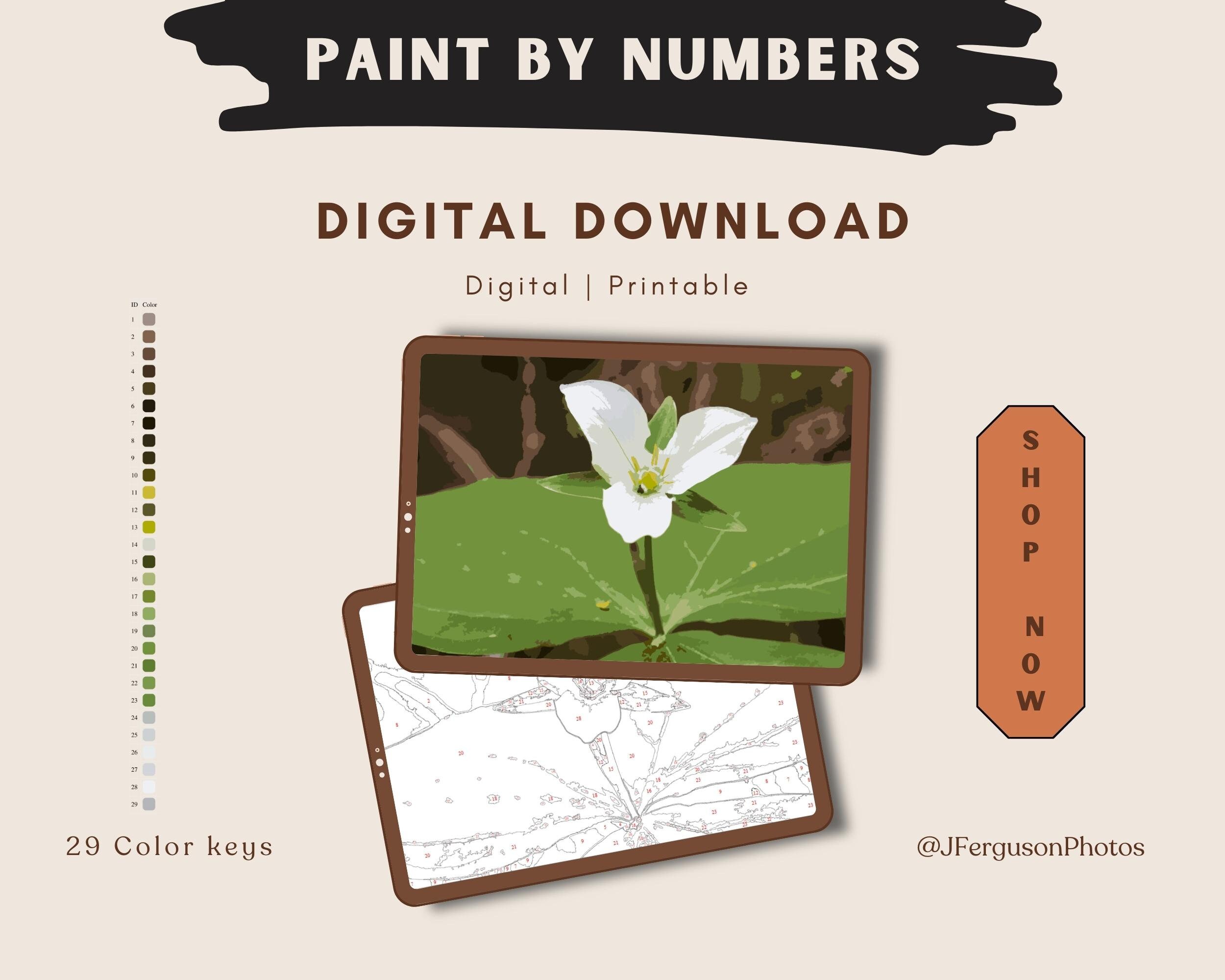 Western White Trillium, Flowering Plant, Floral, Botanical, Blooming ...