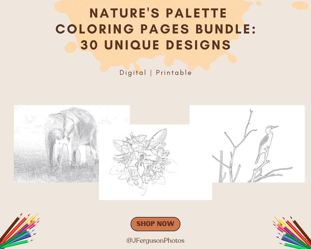 30 Unique Designs: Nature's Palette Digital Download Coloring Pages ...