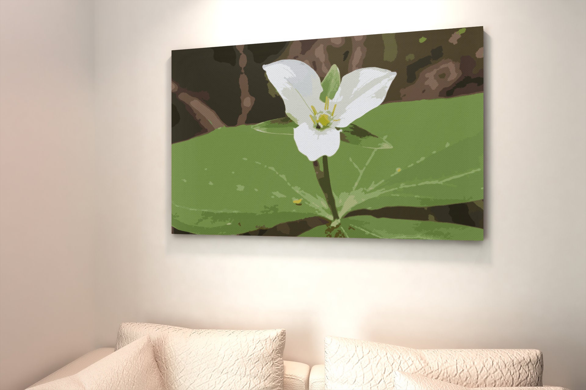 Western White Trillium, Flowering Plant, Floral, Botanical, Blooming ...
