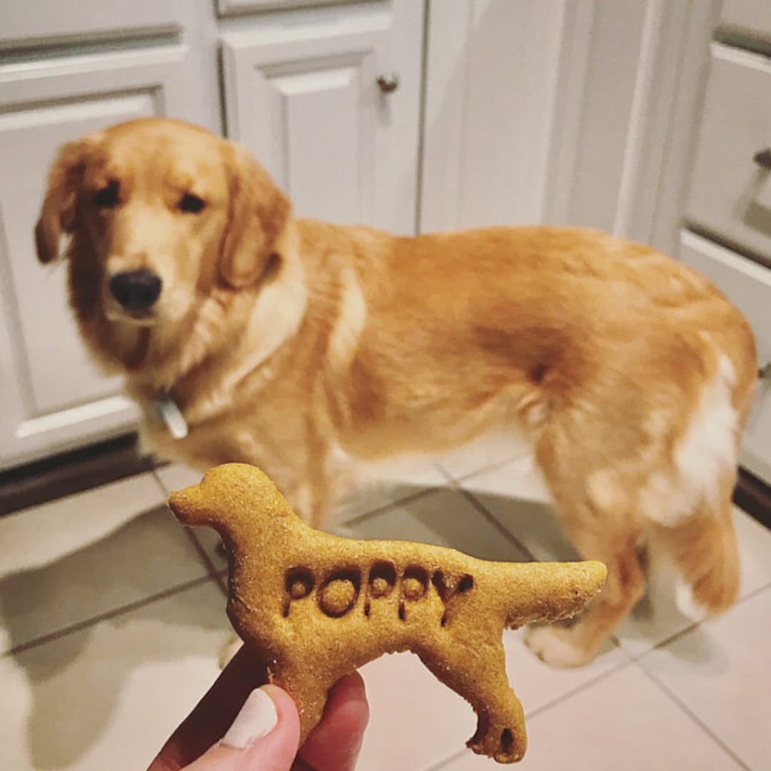 Golden Retriever Cookie Cutter Custom Treat Personalized Dog Breed ...