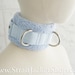 Blue Neck Collar With Soft Fleece - Lockable With Segufix Lock Posture ...