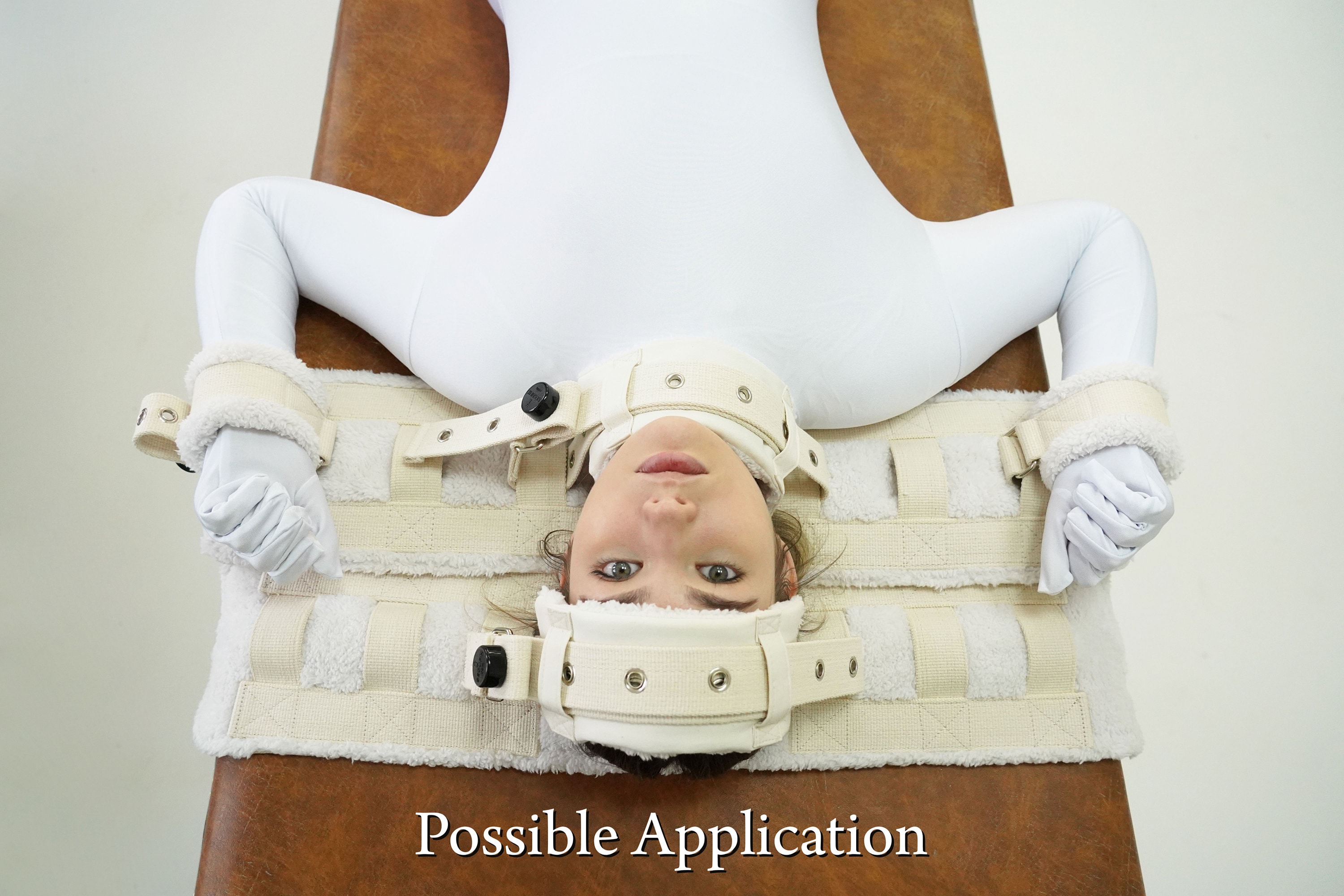 Waist / Chest / Head / Neck Segufix Restraint Strap for - Etsy Australia