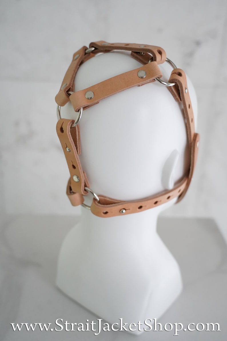 Asylum Leather Face Muzzle - Hannibal Lecter Mask / Anti-bite Muzzle ...