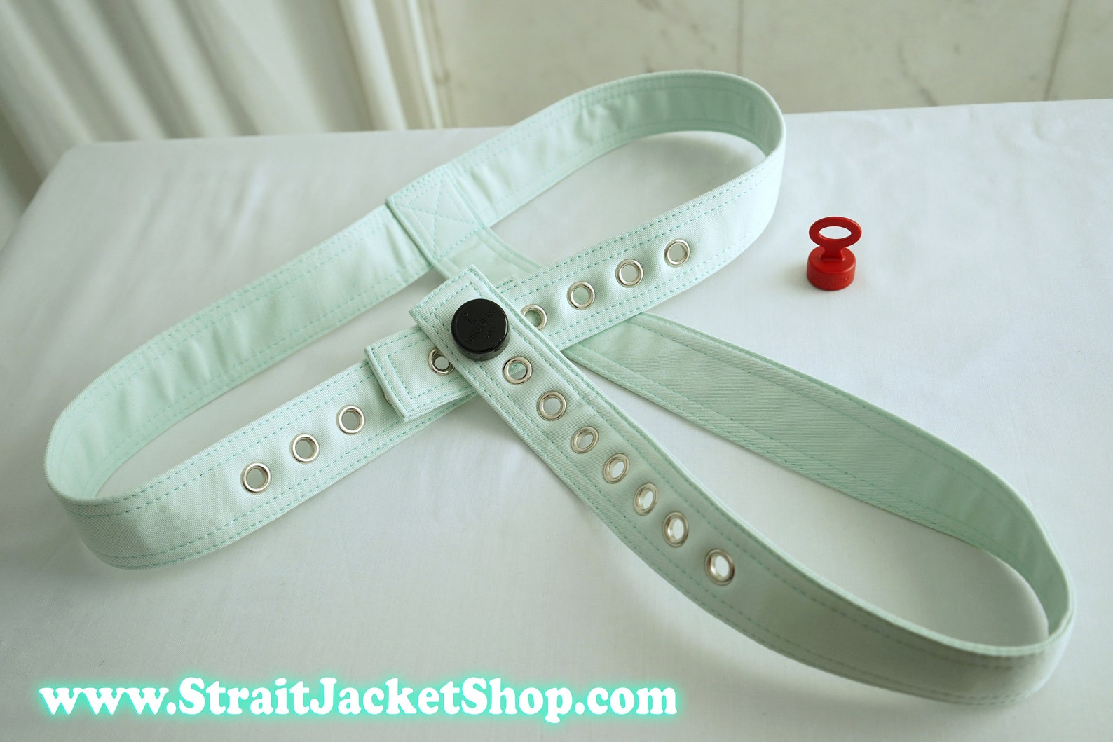 Mint Diaper Wearing Enforcer Strap - Anti Diaper Removal / Restraining ...