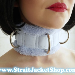 Blue Neck Collar With Soft Fleece Lockable With Segufix Lock Posture ...