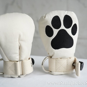 P.A.W.S. Asylum Safety Mittens With Segufix Locks - Bondage Soft Padded ...