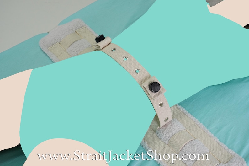 Waist / Chest / Head / Neck Segufix Restraint Strap for ...