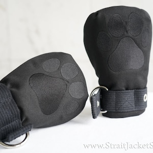 P.A.W.S. Asylum Safety Mittens With Segufix Locks - Bondage Soft Padded ...