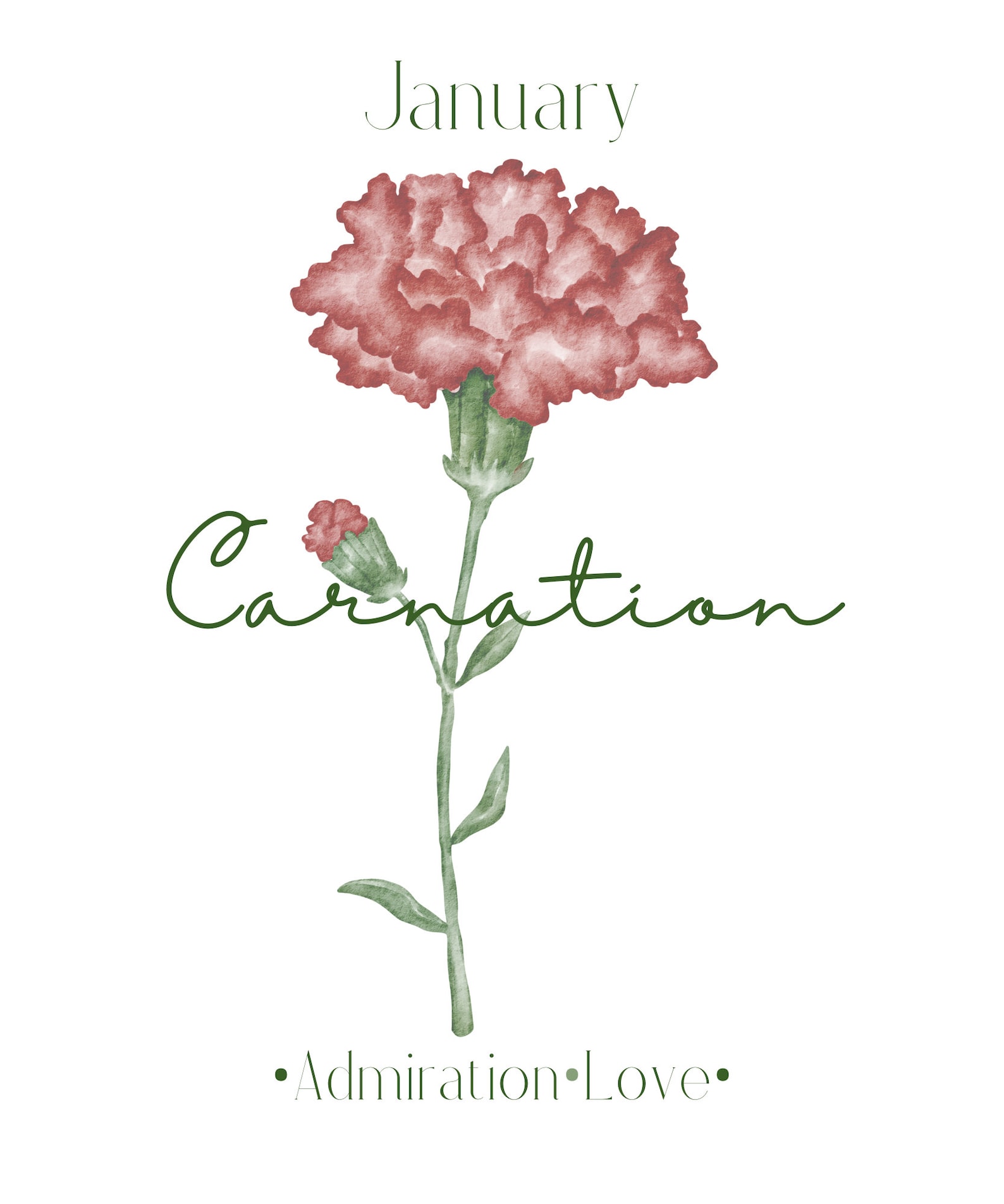 Birth Month Flowers Digital Printable Bundle - 13 Files Transparent PNG ...