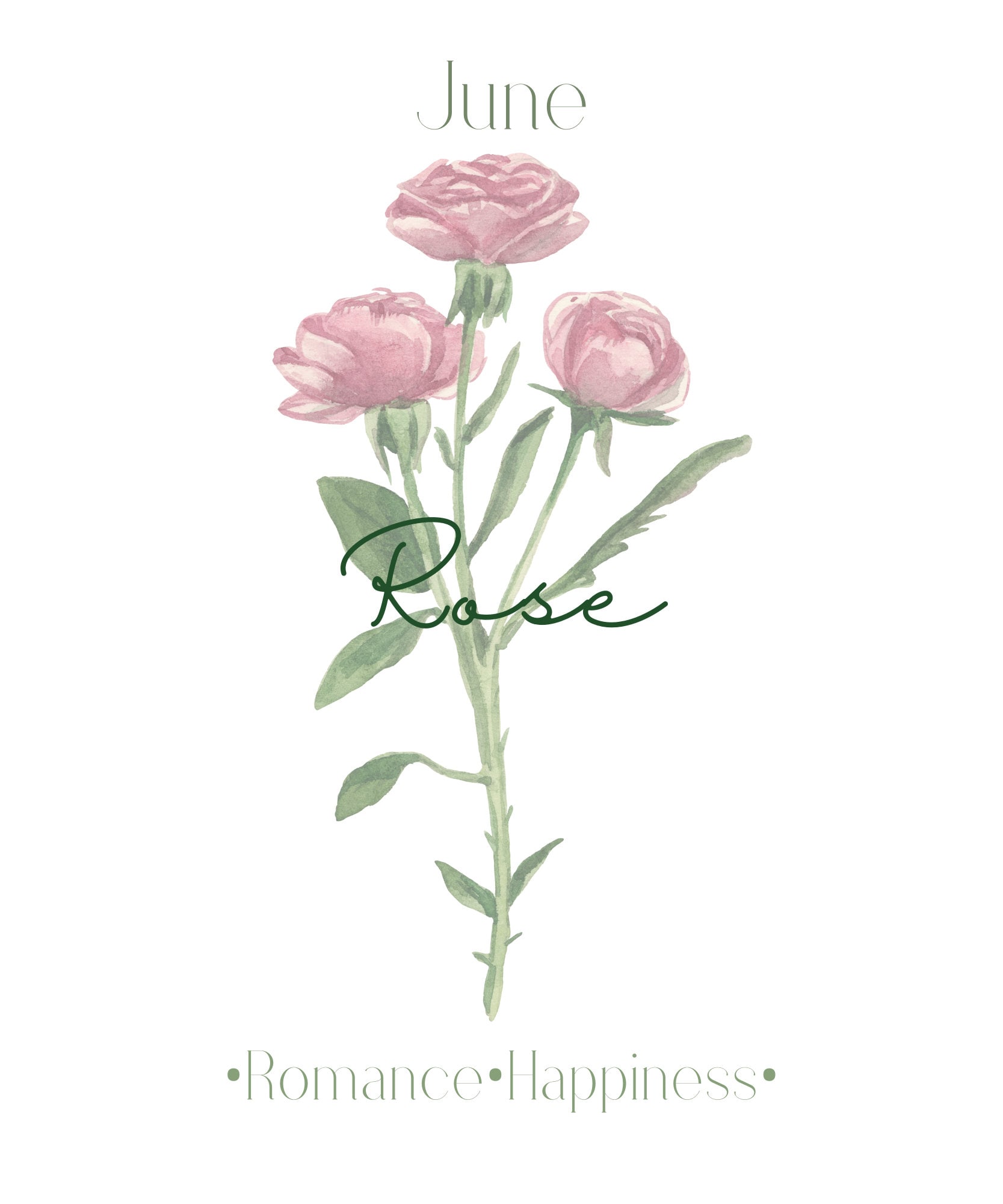 Birth Month Flowers Digital Printable Bundle - 13 Files Transparent PNG ...