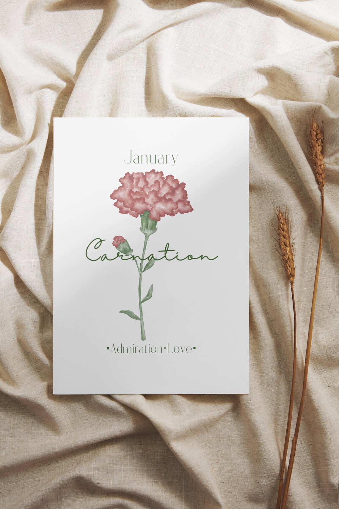 January Carnation Birth Month Digital Printable - Etsy