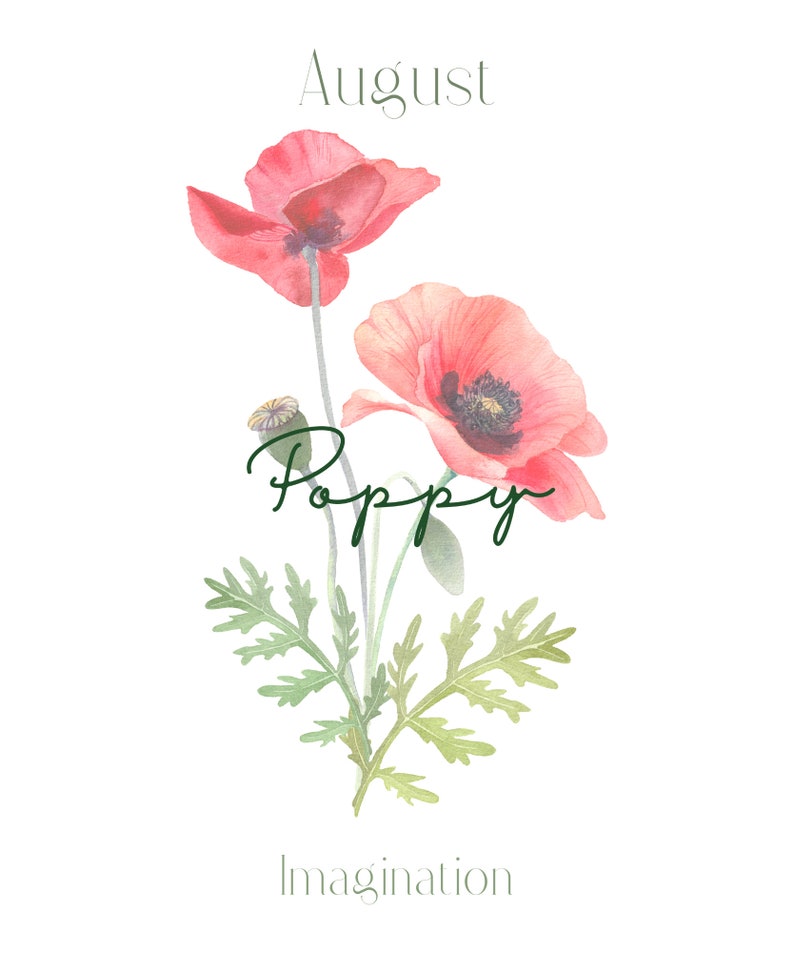 Birth Month Flowers Digital Printable Bundle - 13 Files Transparent PNG ...