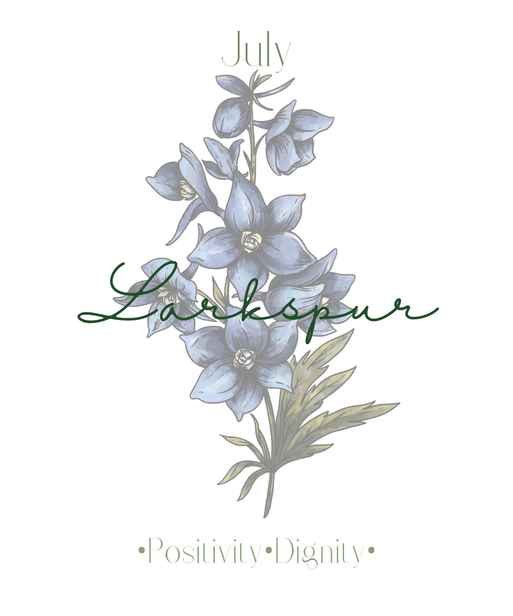 Birth Month Flowers Digital Printable Bundle - 13 Files Transparent PNG ...