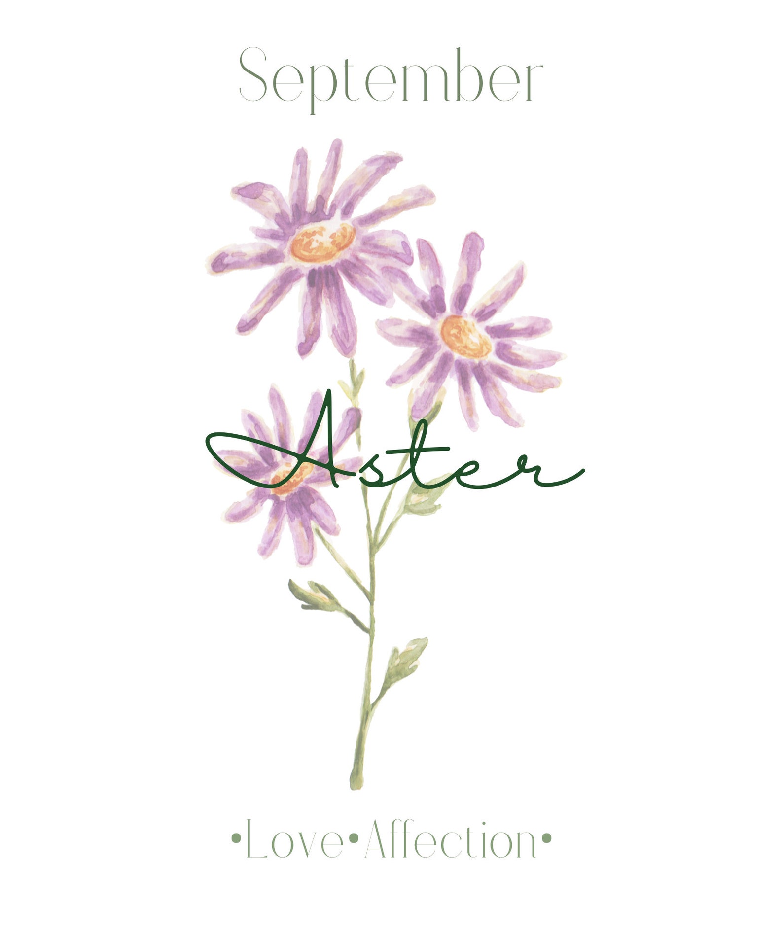 Birth Month Flowers Digital Printable Bundle 13 Files Transparent PNG ...