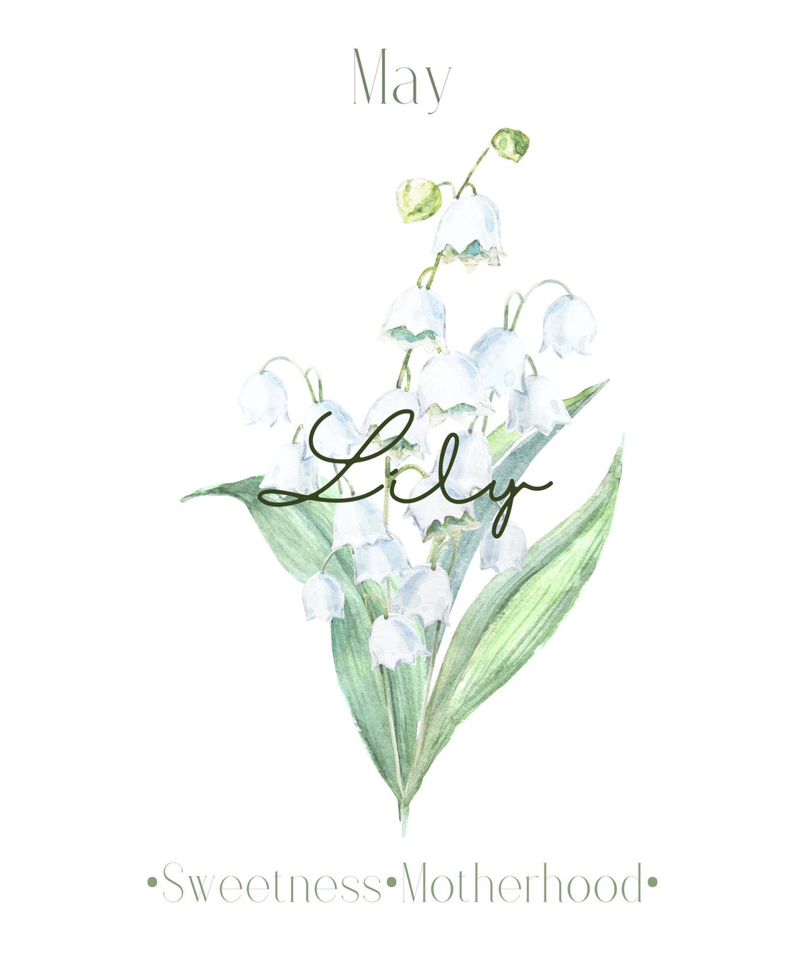 Birth Month Flowers Digital Printable Bundle 13 Files Transparent PNG ...