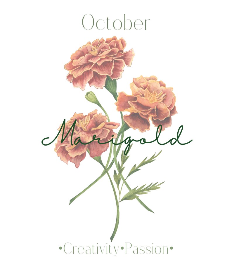 October Marigold Birth Month Digital Printable - Etsy