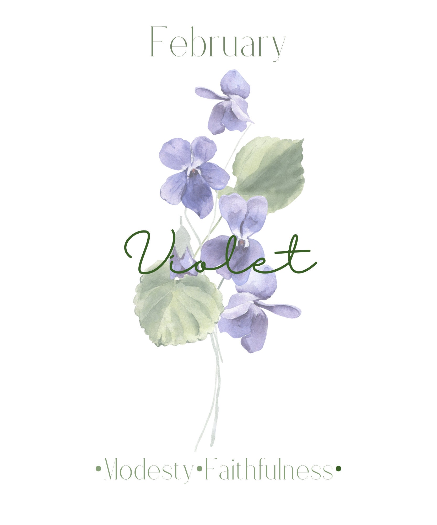 Birth Month Flowers Digital Printable Bundle - 13 Files Transparent PNG ...