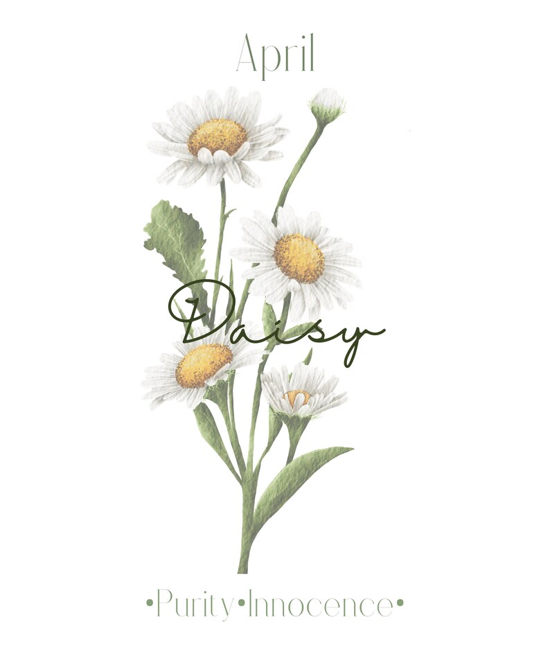 April Daisy Birth Month Digital Printable - Etsy