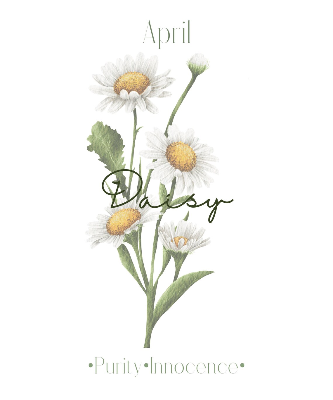 Birth Month Flowers Digital Printable Bundle 13 Files Transparent PNG ...