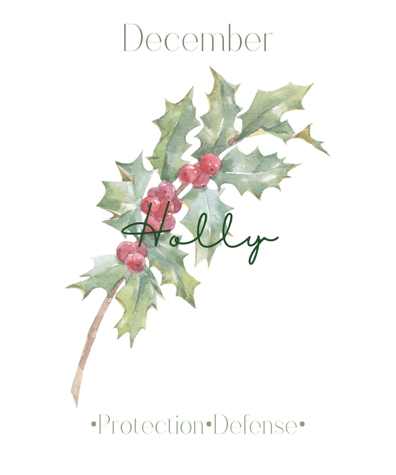 December Holly Birth Month Digital Printable - Etsy