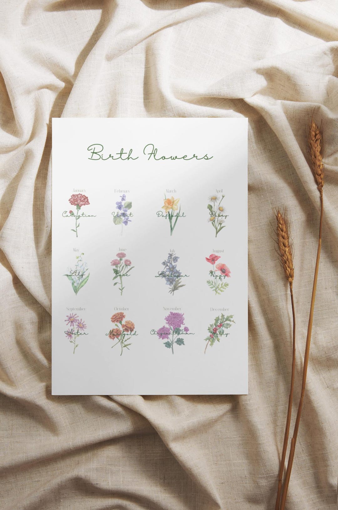 Birth Month Flowers Digital Printable Bundle - 13 Files Transparent PNG ...