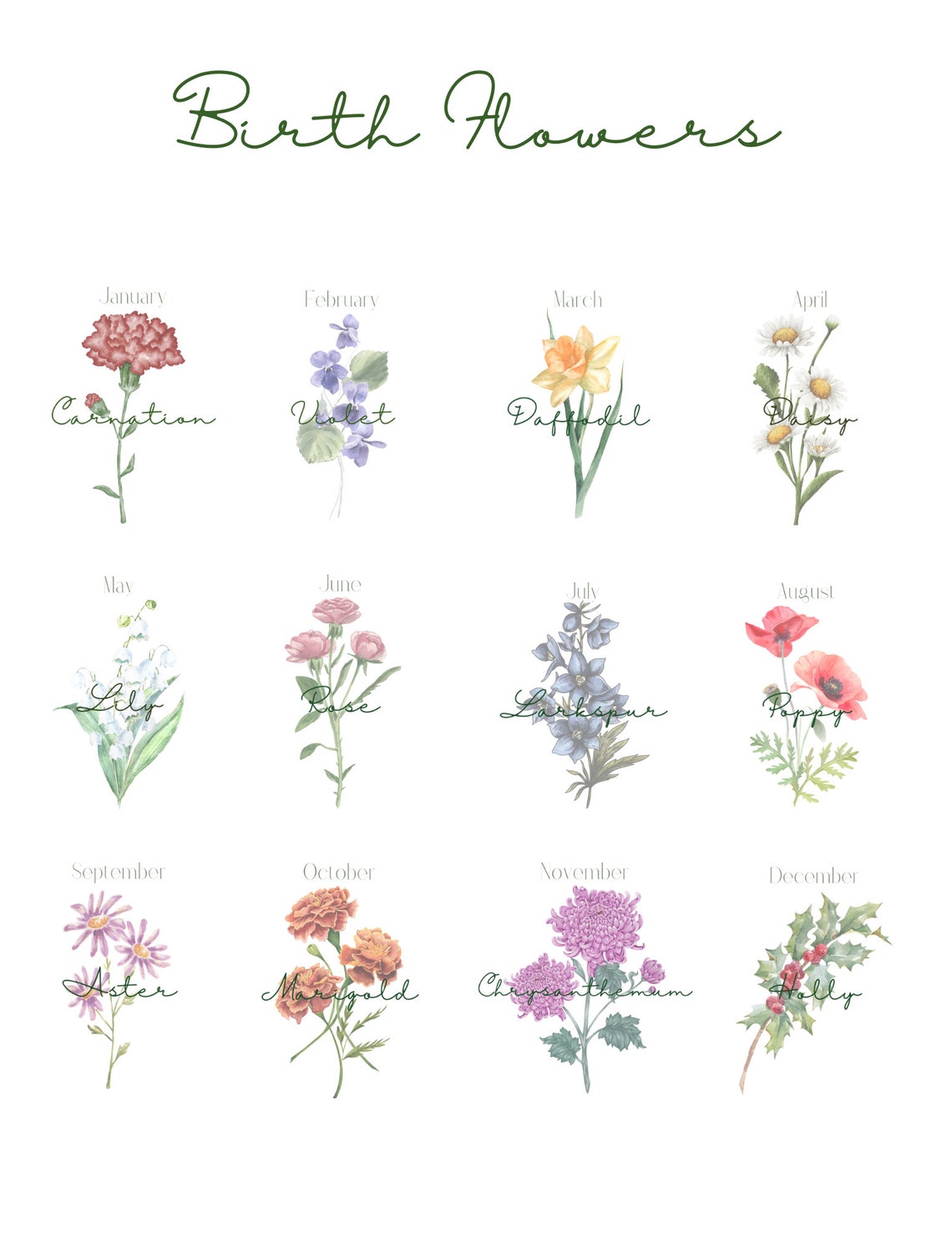 Birth Month Flowers Digital Printable Bundle - 13 Files Transparent PNG ...