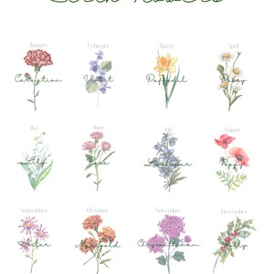 Birth Month Flowers Digital Printable Bundle - 13 Files Transparent PNG ...