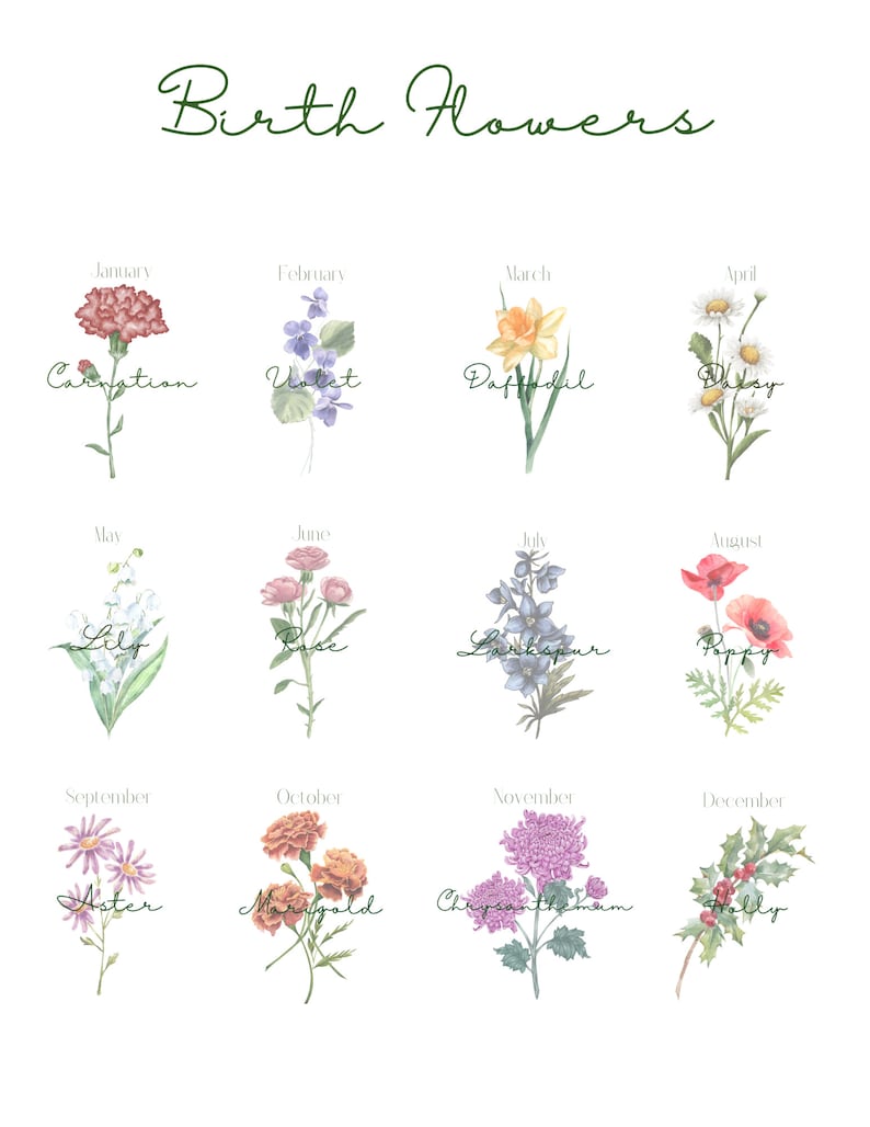 Birth Month Flowers Digital Printable Bundle - 13 Files Transparent PNG ...