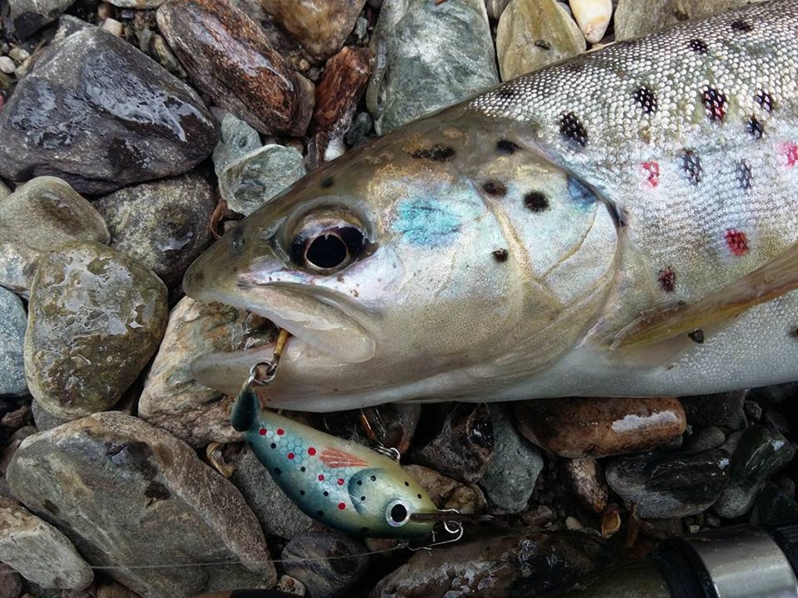 Custom Fishing Lure Brown Trout 4.5cm 2 Inches - Etsy
