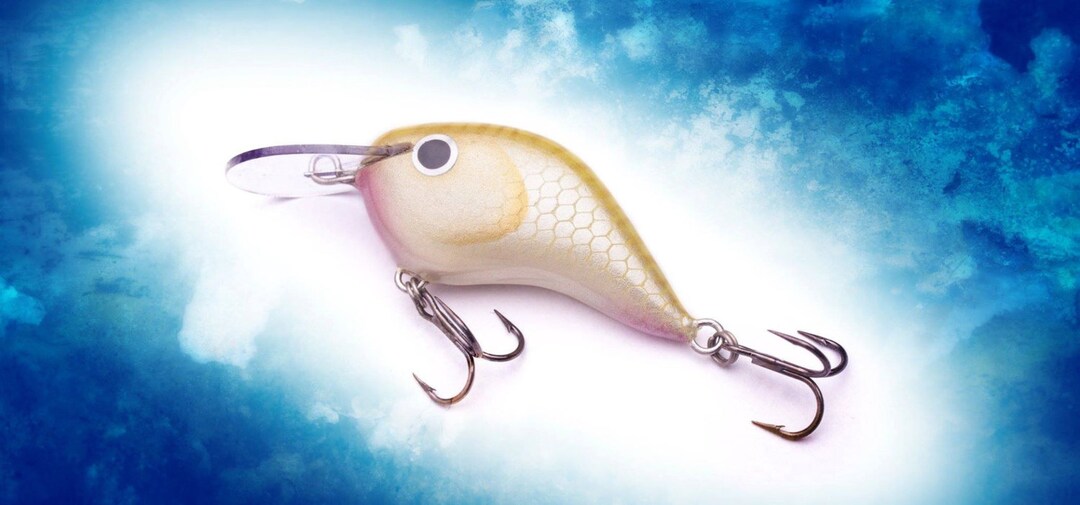 Fishing Lure Spasm Wobbler Lures / Handmade Out of Wood (wobblehead 4 ...