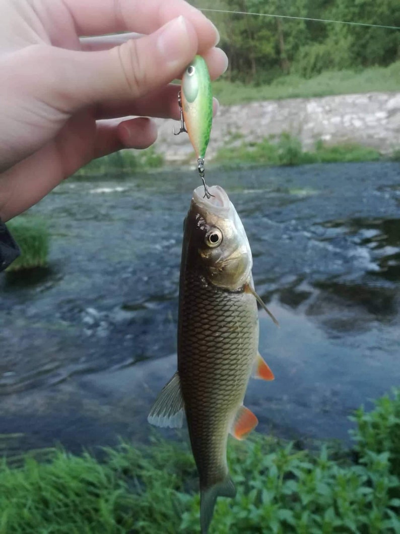 Micro Surface Wooden Ultra Light Handmade Fishing Lure 4cm - Etsy