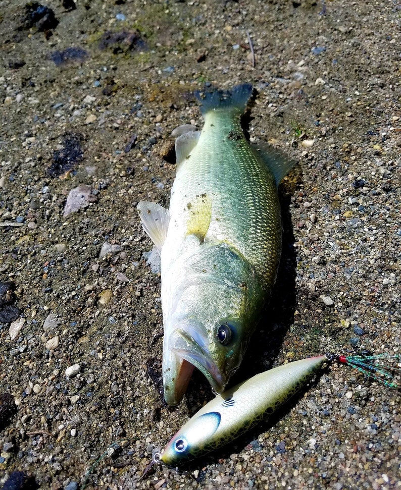Top Water Fishing Lure Yellow 9cm/9g - Etsy
