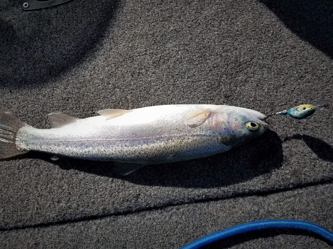 Micro Jointed Brown Trout Lure - Etsy