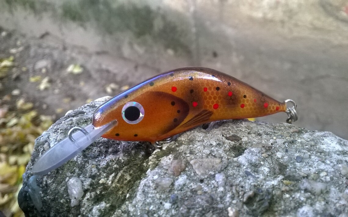 Custom Handmade Wooden Trout Fishing Lure | Etsy