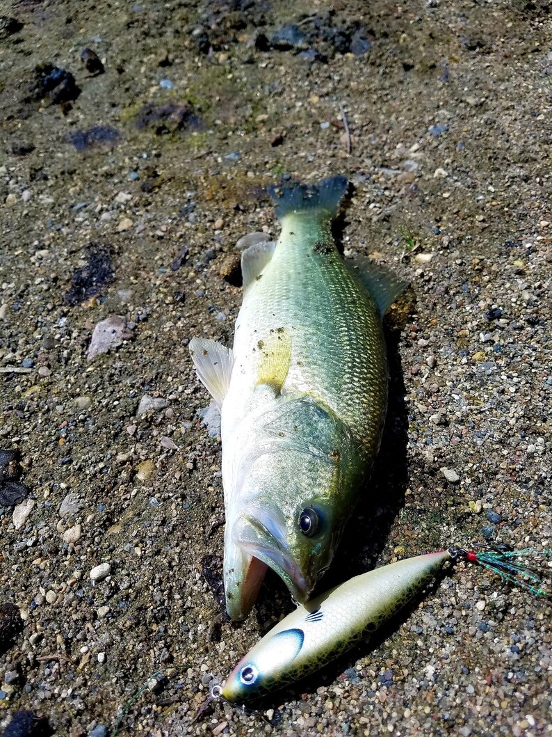 Top Water Fishing Lure Blue 9cm/9g | Etsy