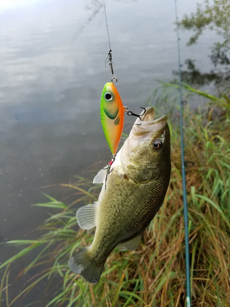 Spasm Surface Fishing Lure / Handmade Fishing Lure / Bass Lure | Etsy