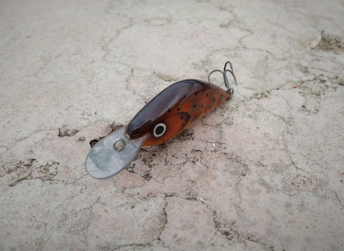 Custom Handmade Wooden Trout Fishing Lure - Etsy
