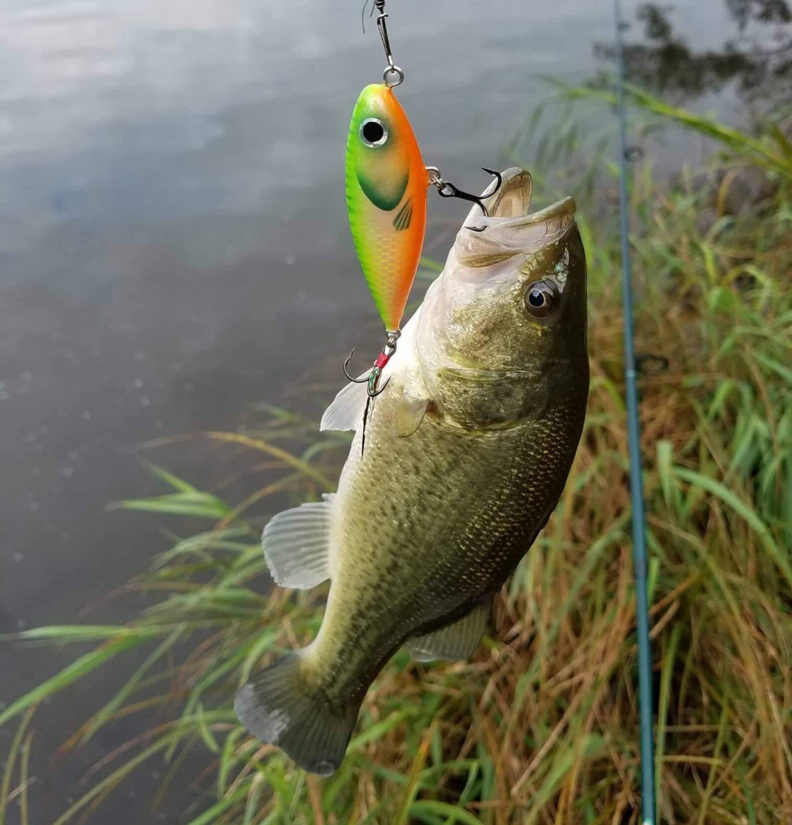 Micro Surface Wooden Ultra Light Handmade Fishing Lure 4cm - Etsy