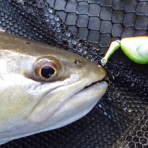 Smal Jointed Wooden Fishing Lure - Etsy