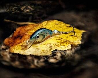 Golden Trout Lure / Micro Jointed Lure / Ultra Light Lure / | Etsy