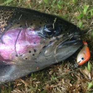 Smal Jointed Wooden Fishing Lure - Etsy