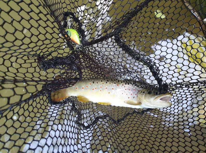 Micro Crnkbait Lure Balsa Wood Handmade 28mm - Etsy