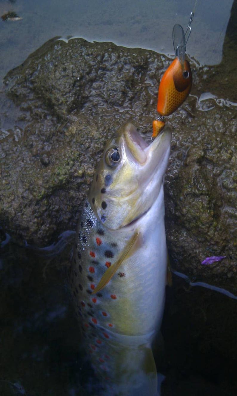 Ultra Light Fishing Lure Micro Jointed Handmade - Etsy