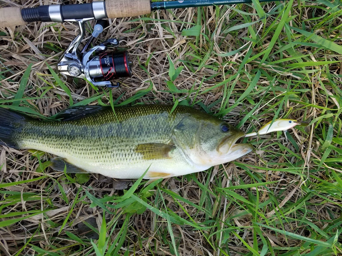 Custom Jointed Wooden Lure 10cm | Etsy